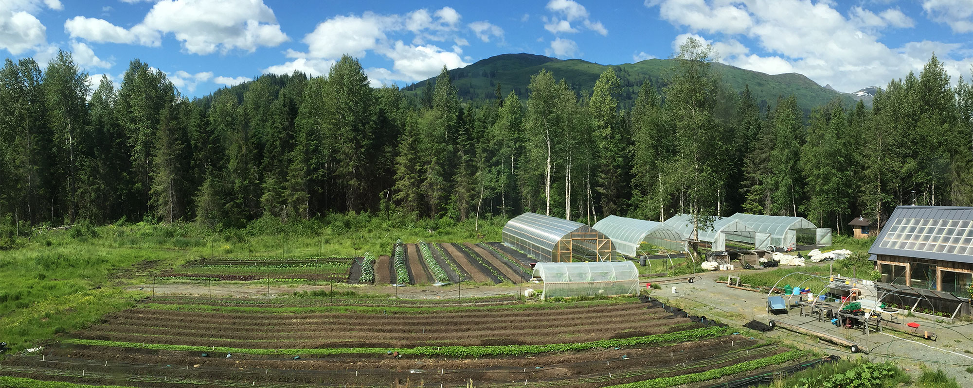 About | Four Winds Farm